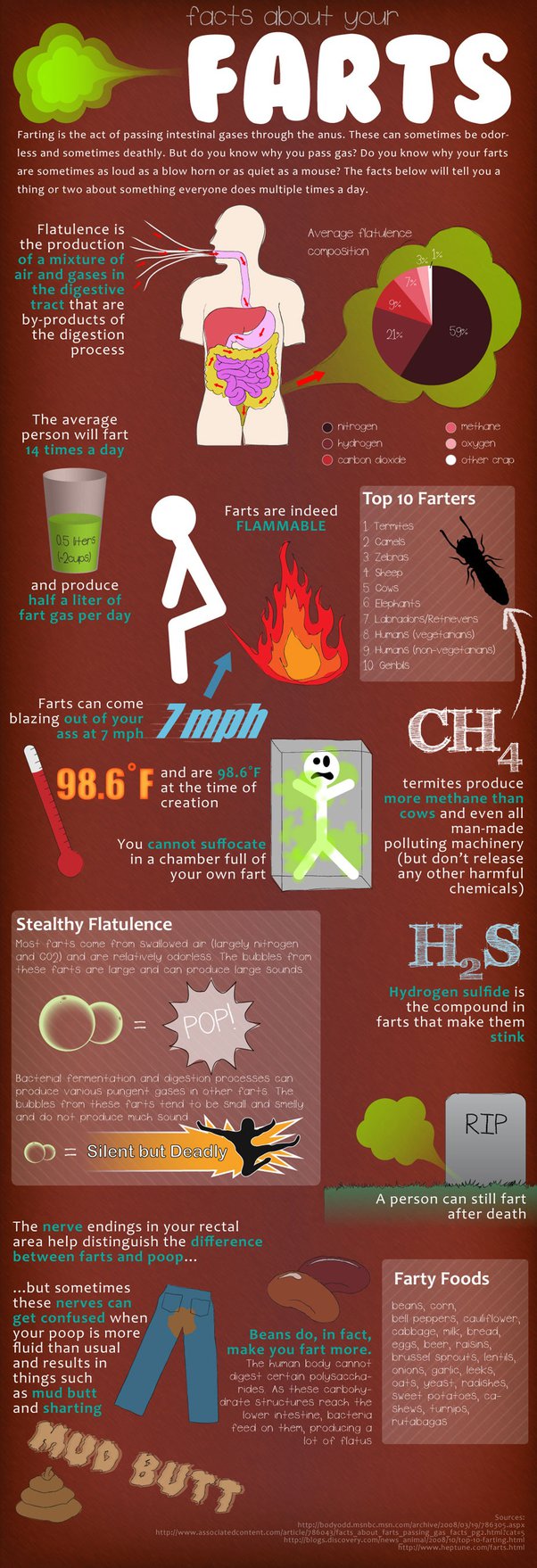 How much flatulence does the average person produce?