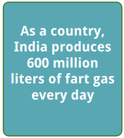 How much force is the average fart?