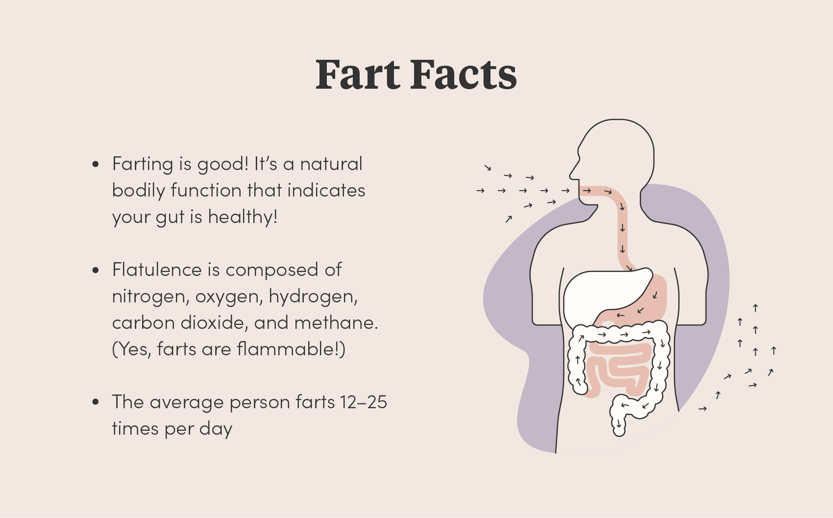 How much gas does a fart release?