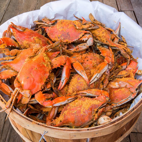 How much is a dozen crabs in Maryland?