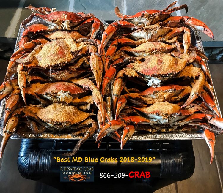 How much is a dozen of Maryland crabs?
