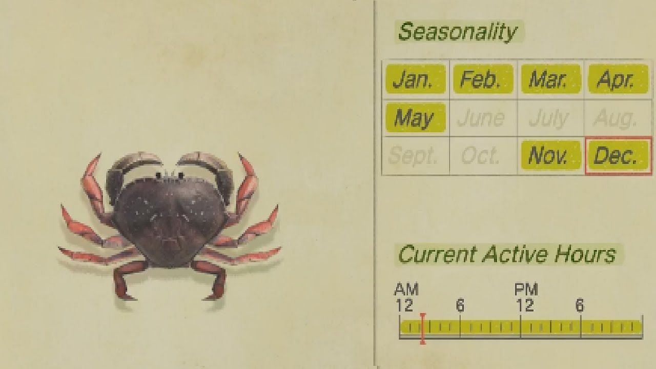 How much is a Dungeness crab Worth Animal Crossing?