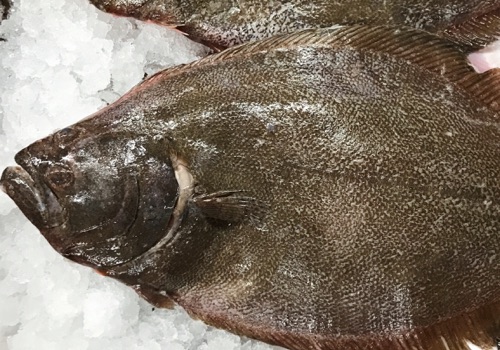 How much is a flounder fish worth?