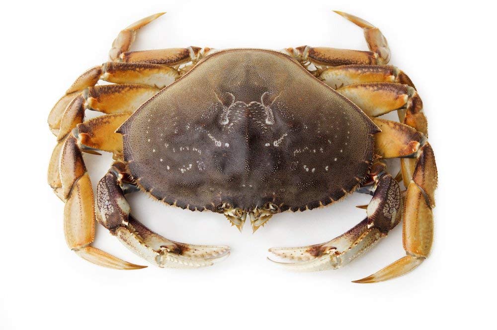 How much is a live crab?