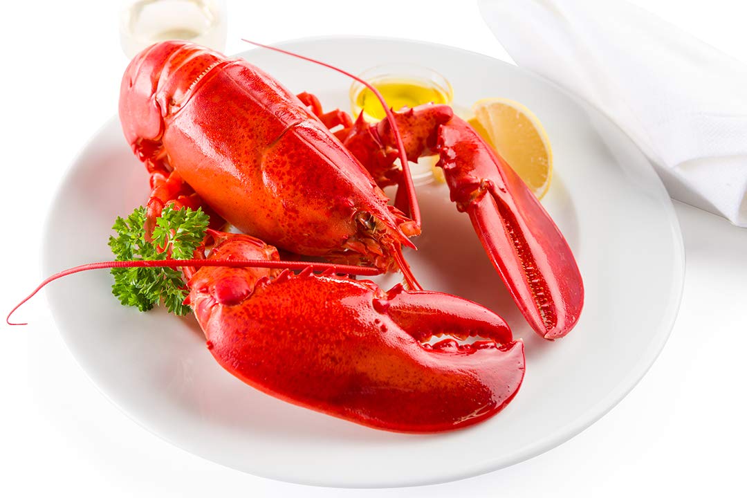 How much is a pound of lobster now?