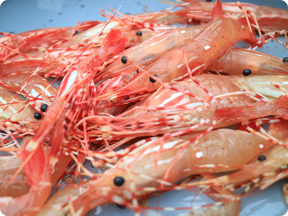 How much is a pound of spot prawns?
