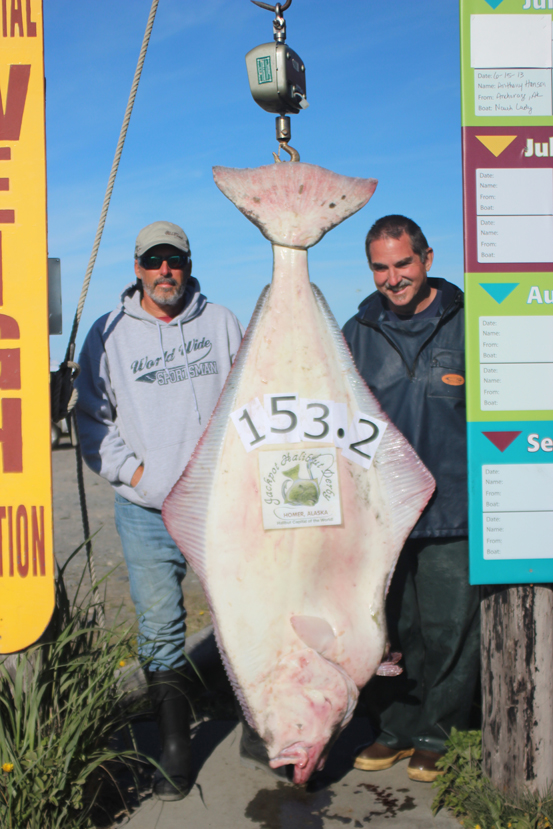 How much is halibut per pound in Florida?