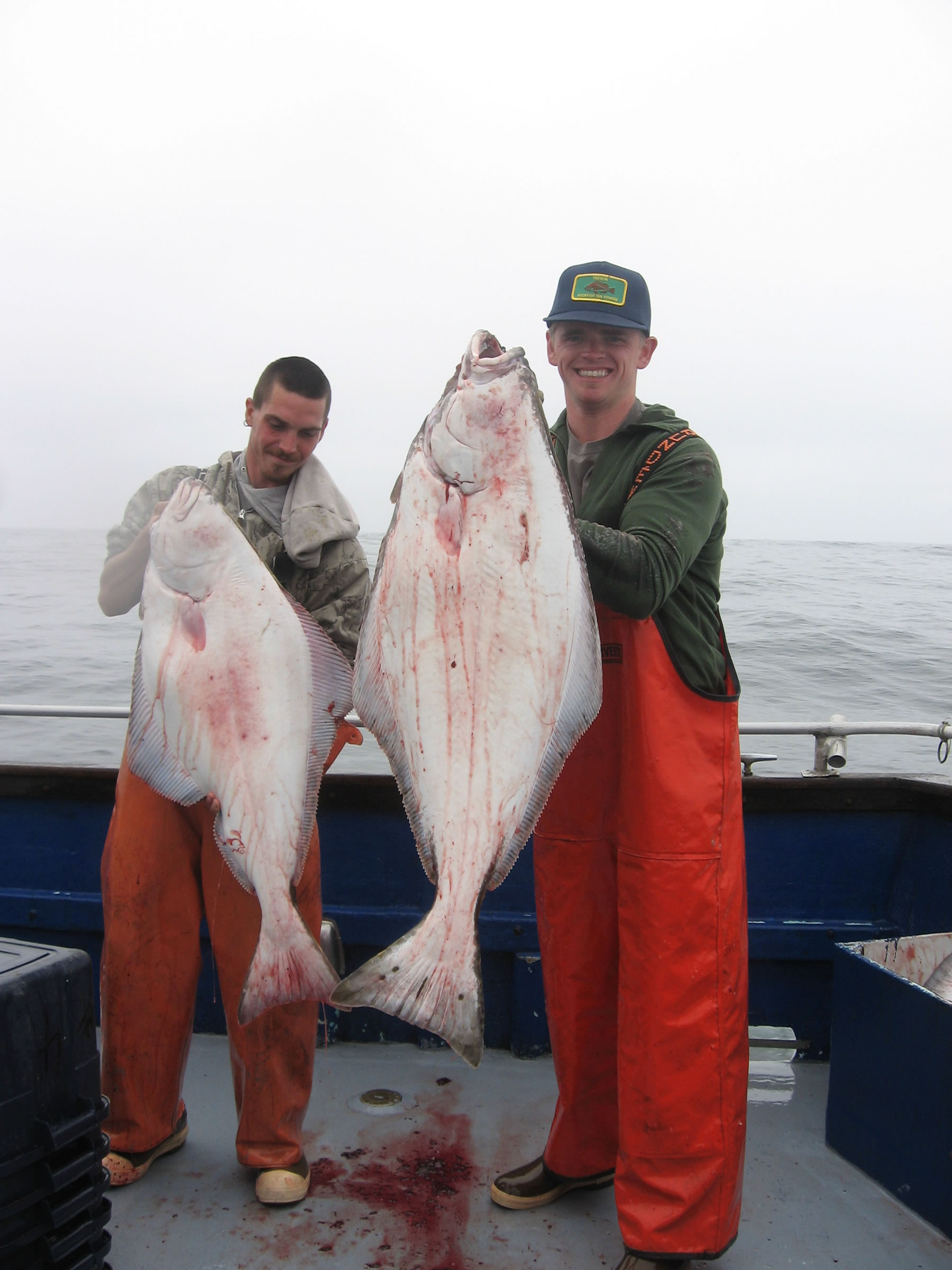 How much is halibut per pound in Oregon?