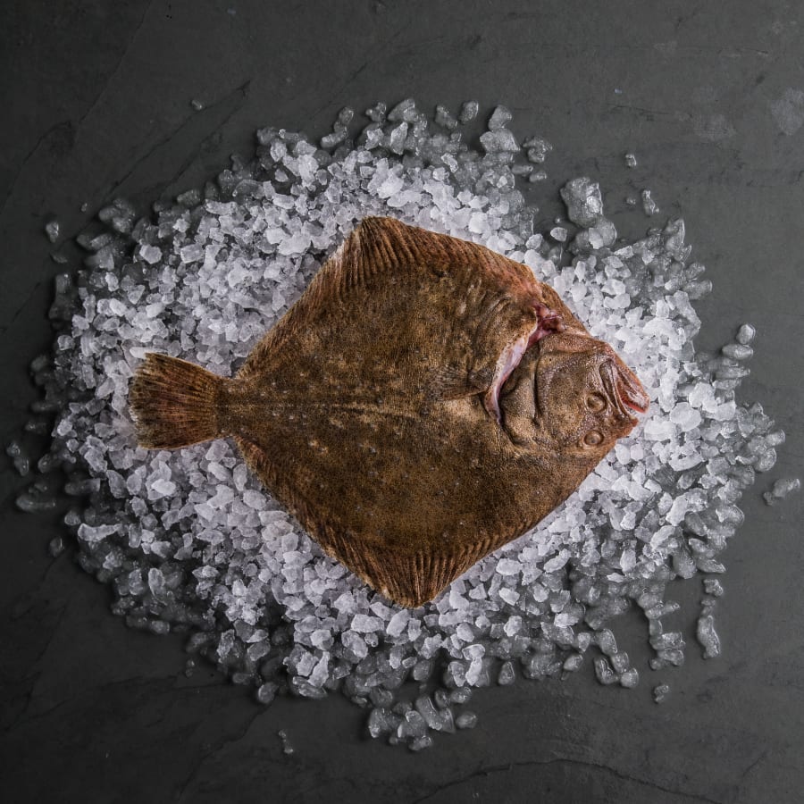 How much is turbot in the UK?