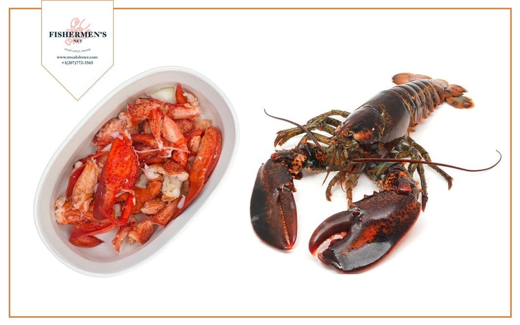 How much lobster meat is in a 2 lb lobster?