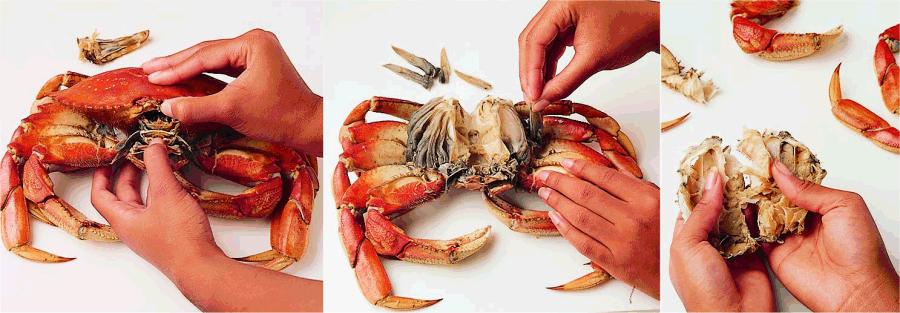 How much meat can you get out of a crab?