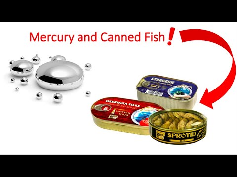 How much mercury is in a tin of mackerel?