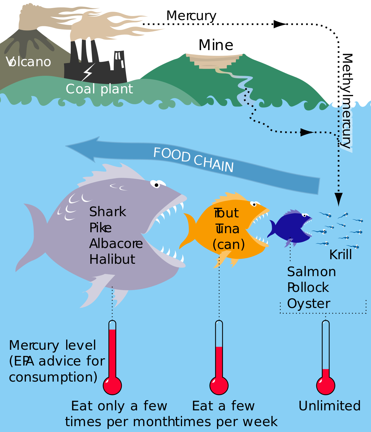 How much mercury is in shellfish?