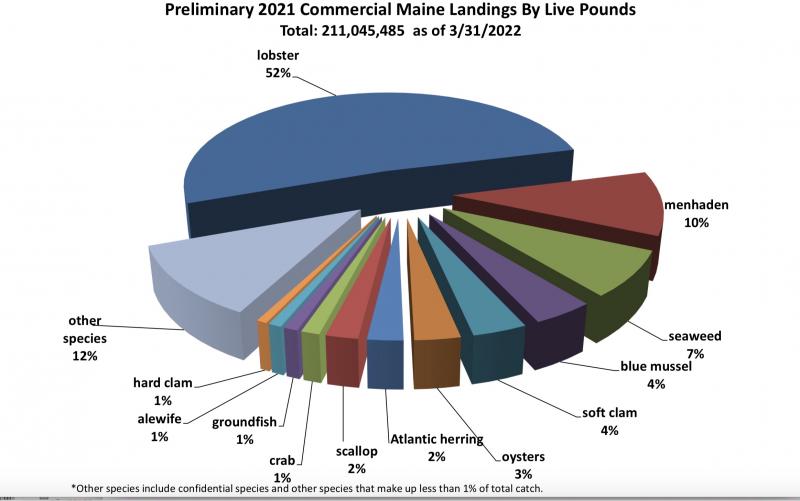 How much money does the Maine lobster industry make?