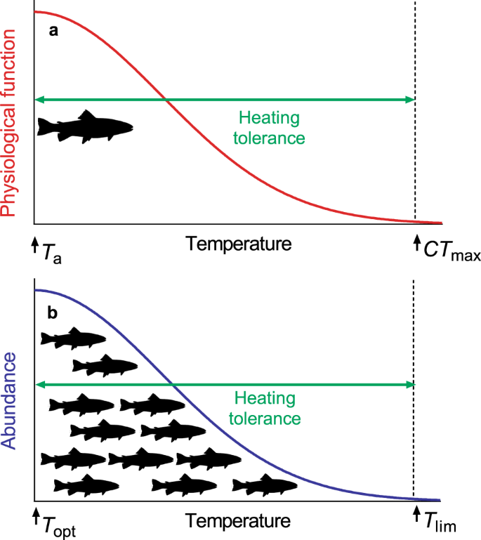How much of a temperature change can fish tolerate?