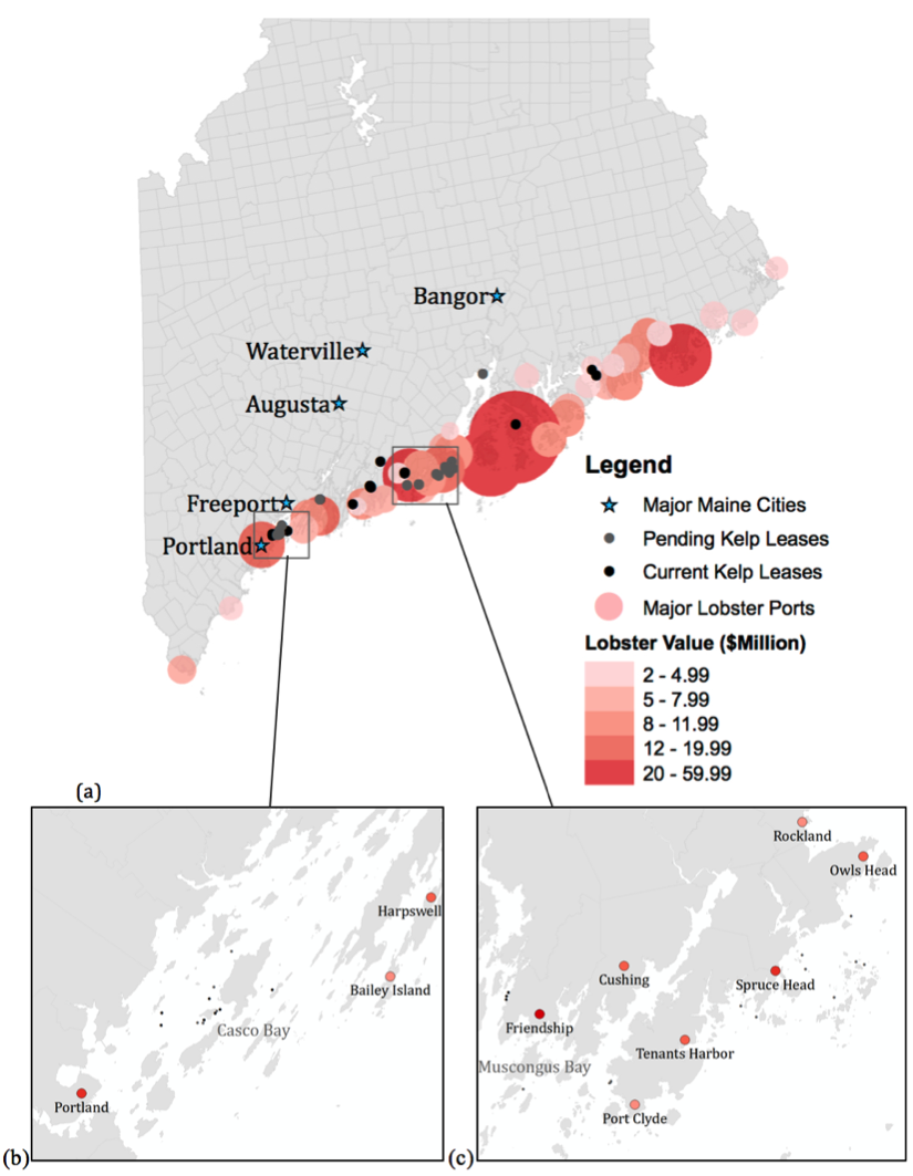 How much of Maine's economy is lobster?