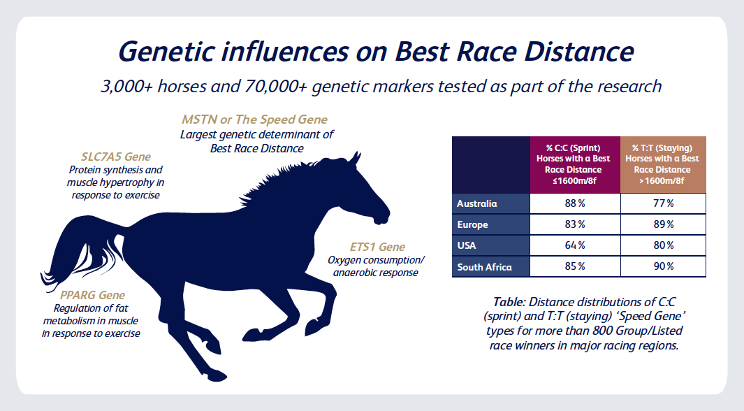 How much of sprint speed is genetic?