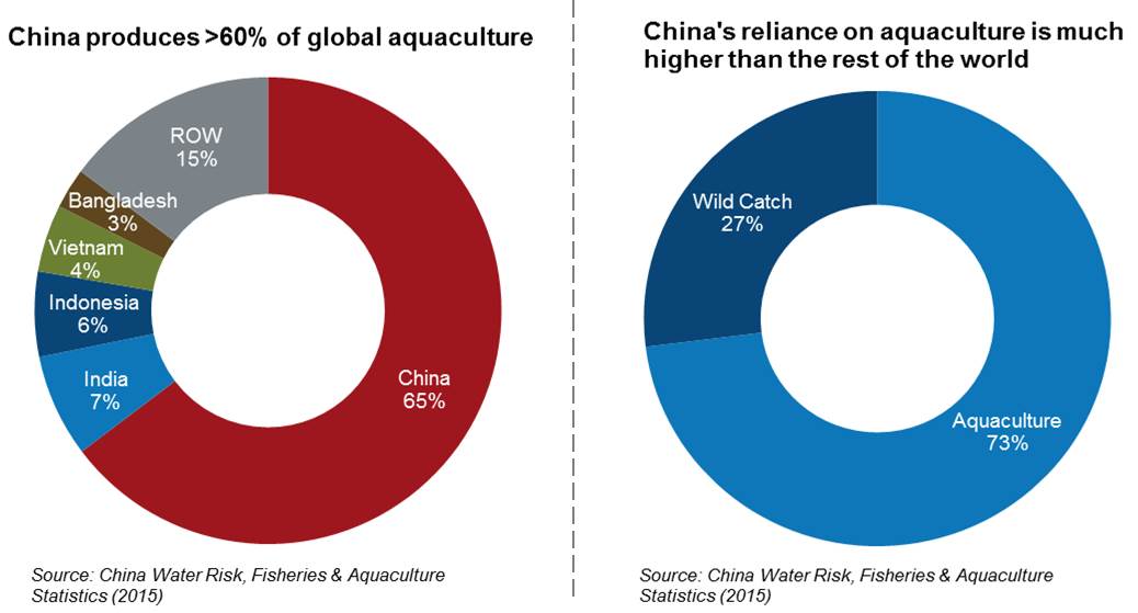 How much of the world is farmed fish in China?