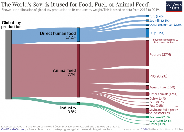 How much of the world's soy is fed to animals?