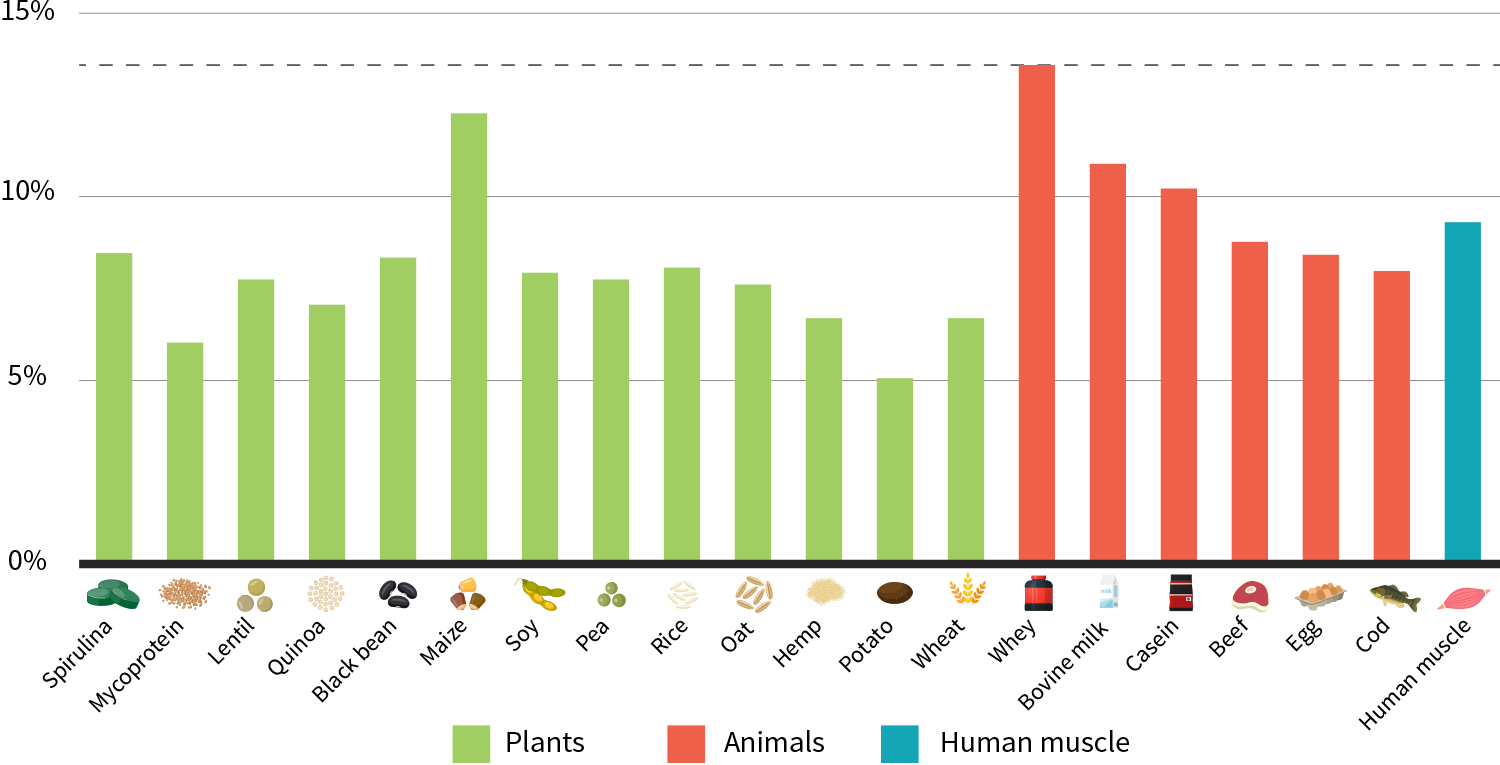 How much protein do you need for high intensity workout?