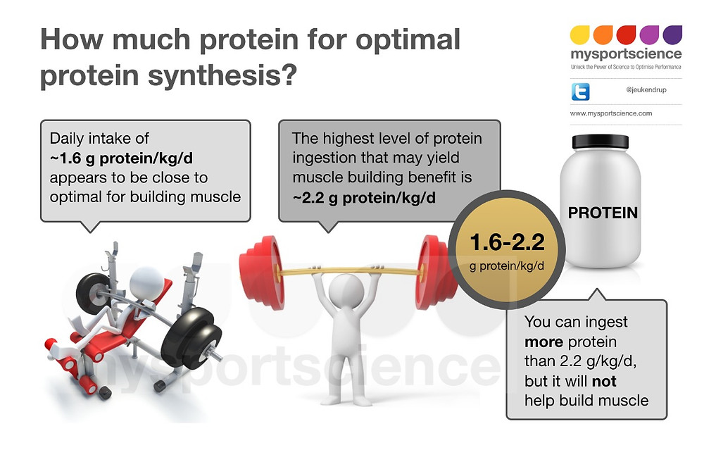 How much protein do you need for muscle protein synthesis?
