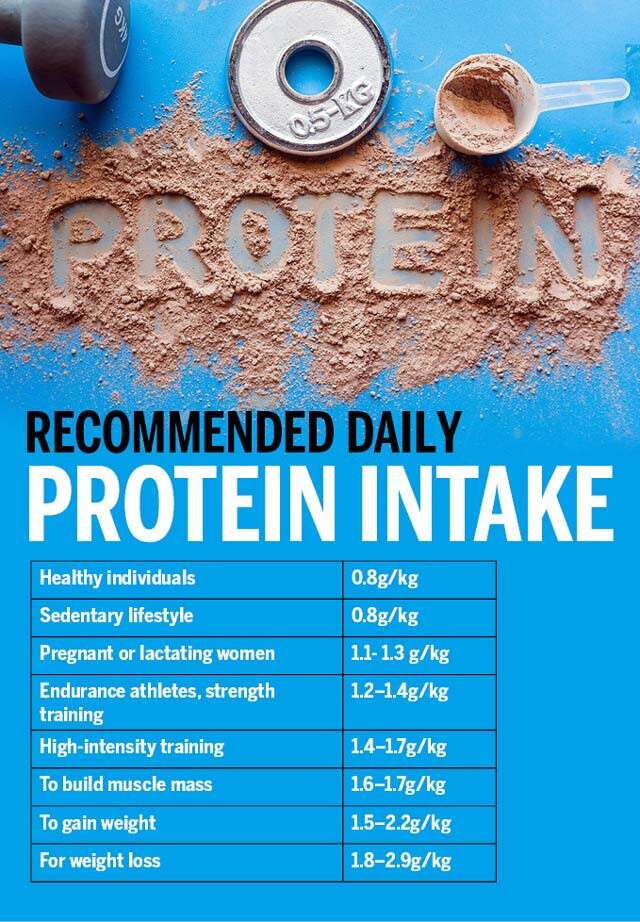 How much protein do you need to gain weight?