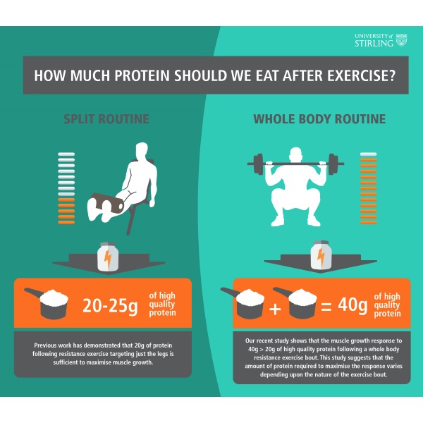How much protein do you really need to eat?
