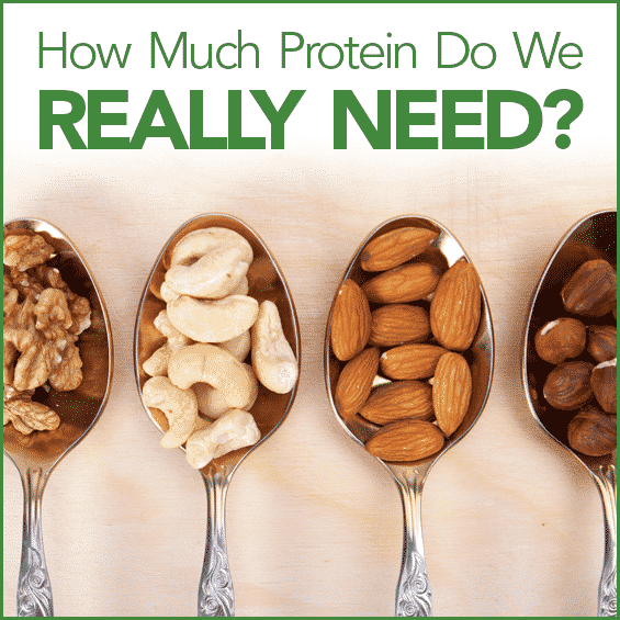 How much protein do you really need?