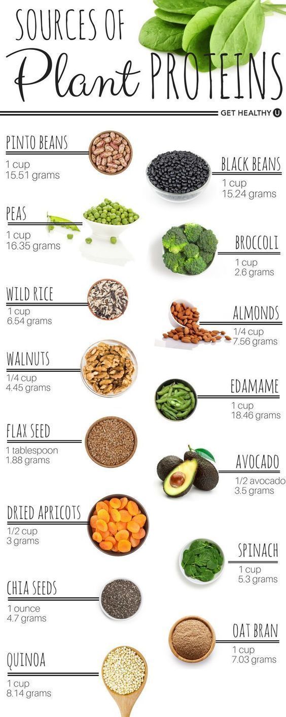 How much protein is in a vegan diet?