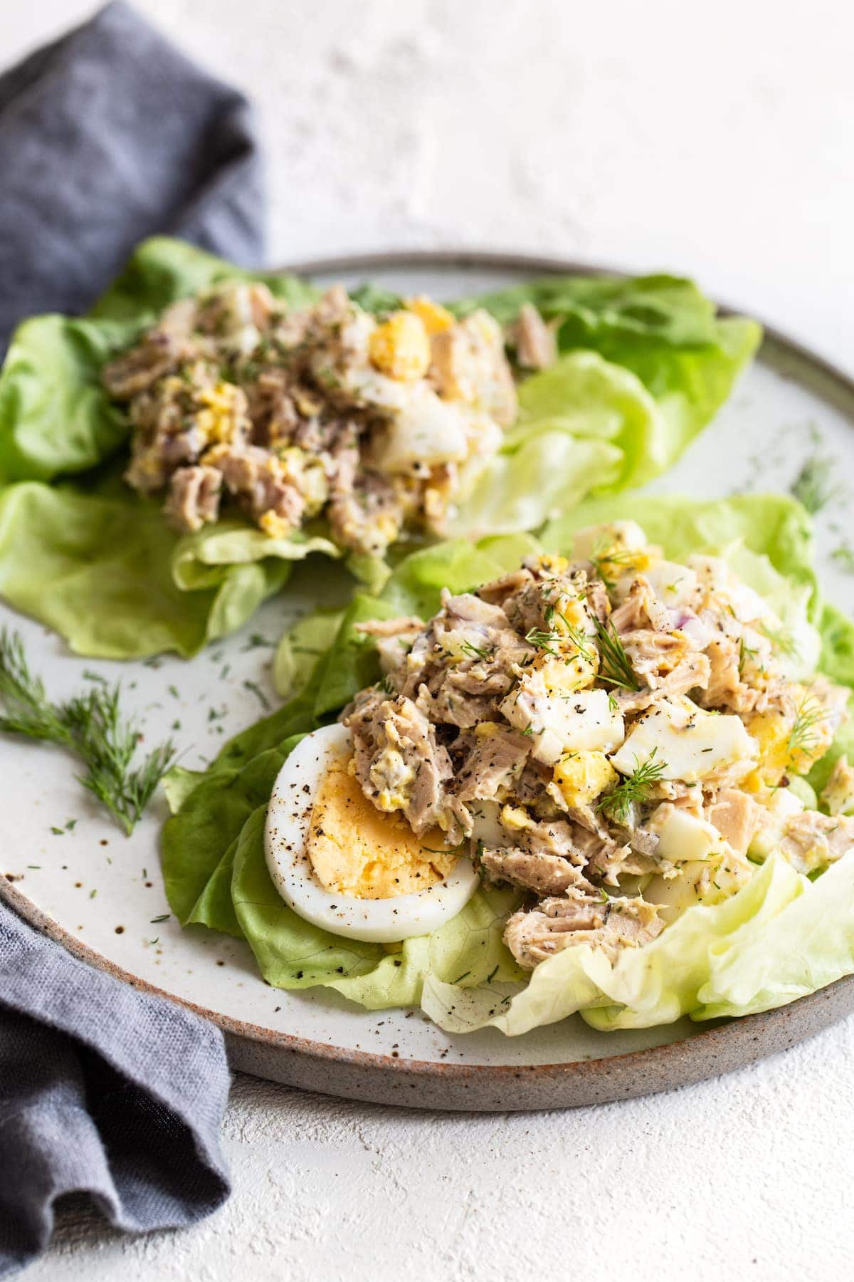 How much protein is in tuna salad with egg?