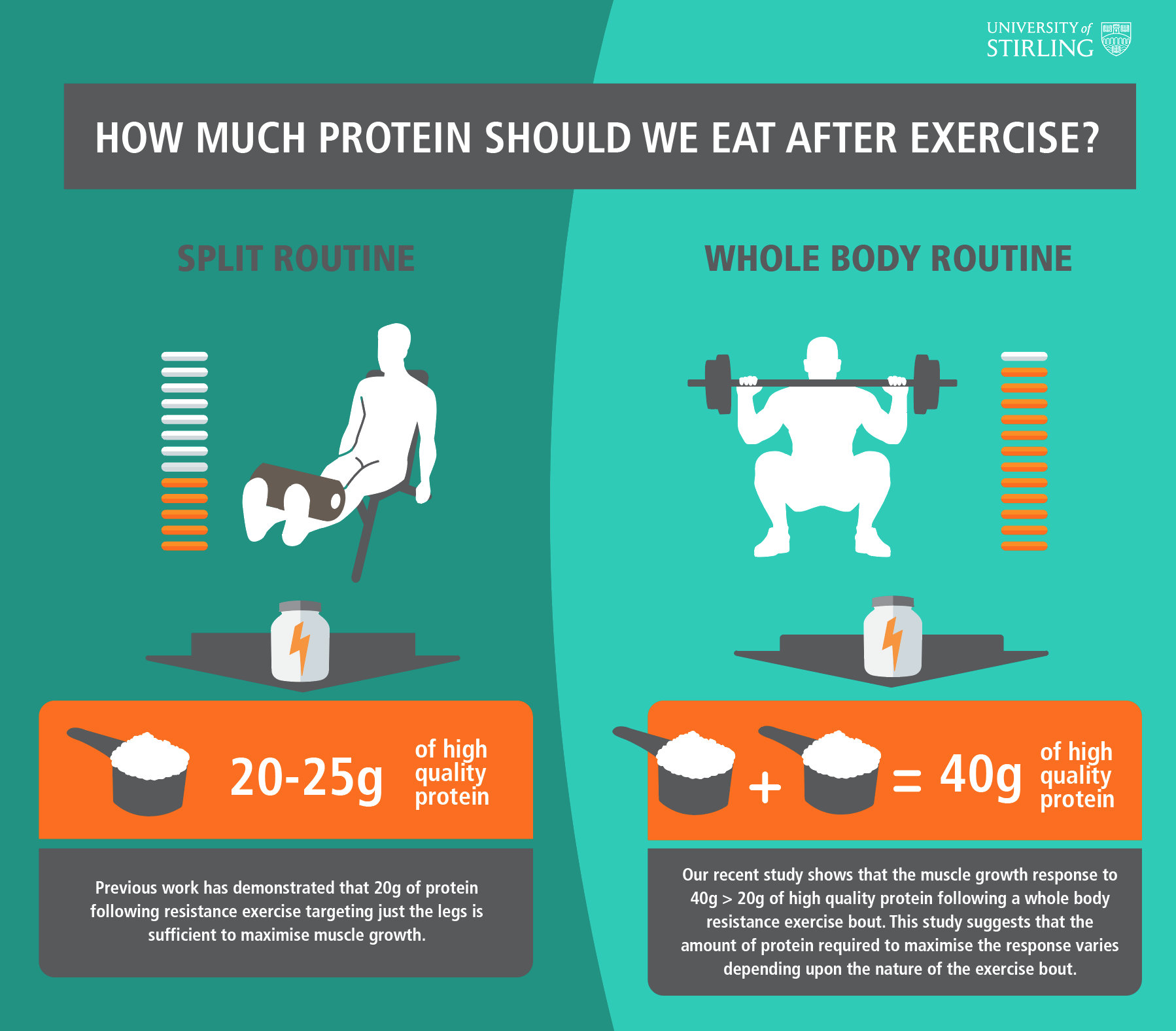 How much protein should be consumed after exercising to assist muscle synthesis?