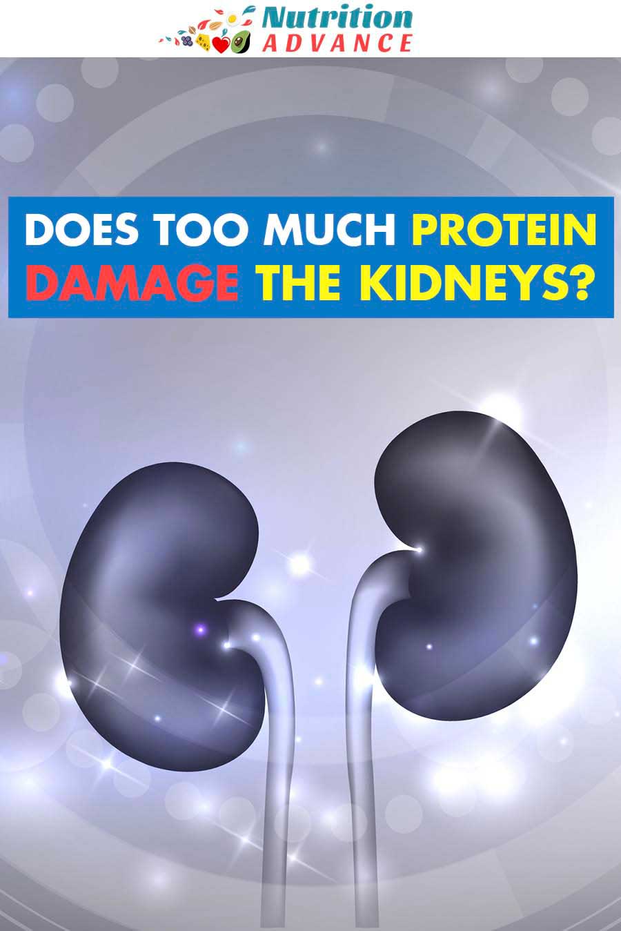 How much protein will hurt your kidneys?