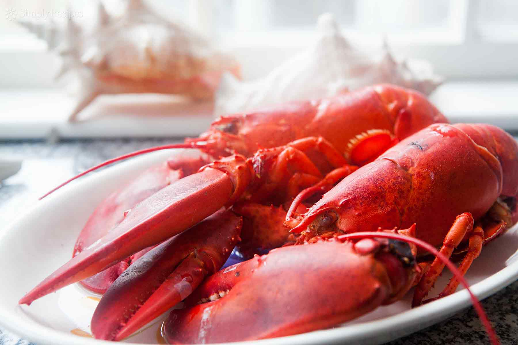 How much salt do you need to cook lobster?