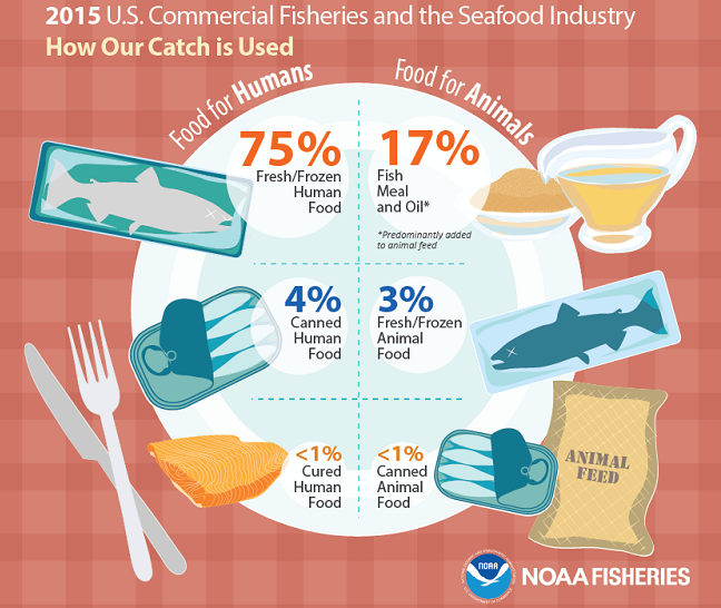 How much seafood do Americans eat each week?