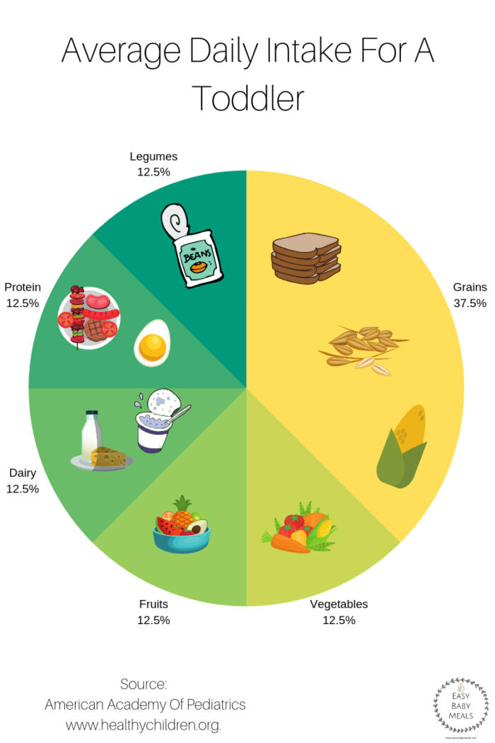 How much should my child be eating?