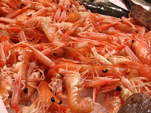 How much should shrimp cost?