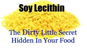 How much soy lecithin is in protein powder?