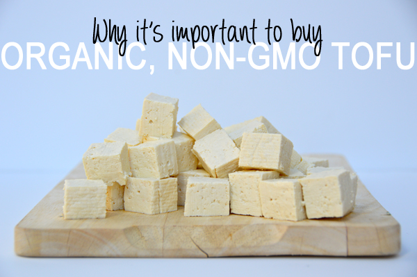 How much tofu is genetically modified?