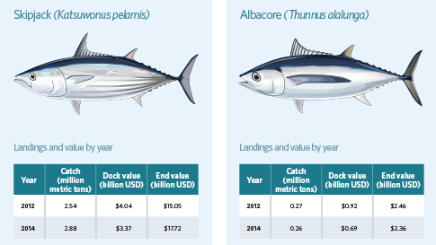 How much tuna is left in the world?