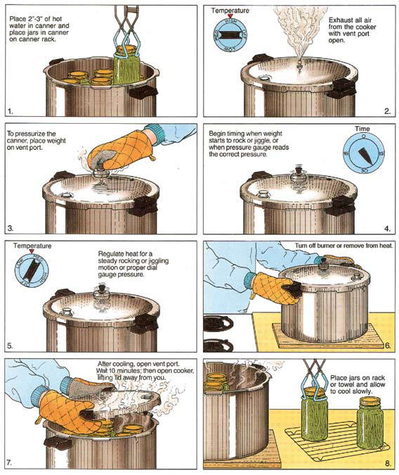 How much water do you put in a pressure cooker canner?