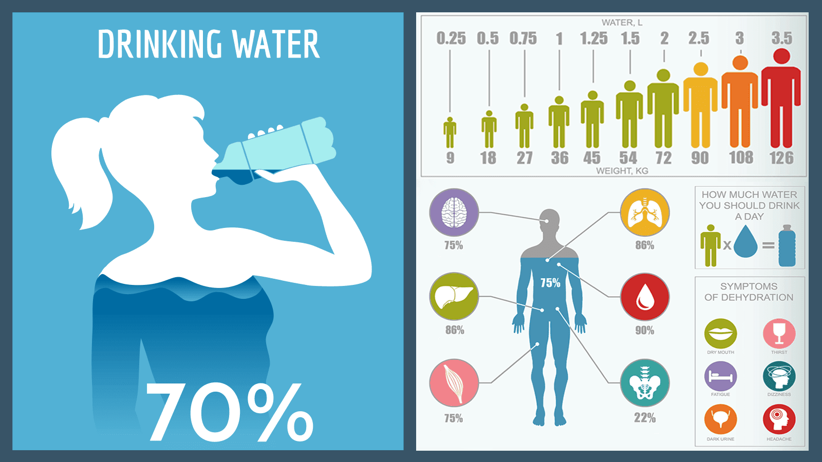 How much water should you drink a day?