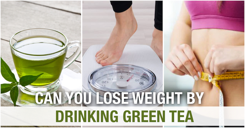 How much weight can be lose by drinking green tea?