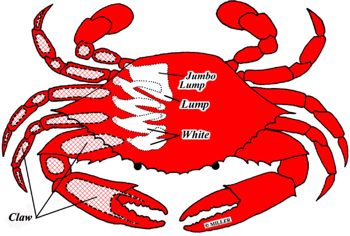 How much white meat is in a crab?