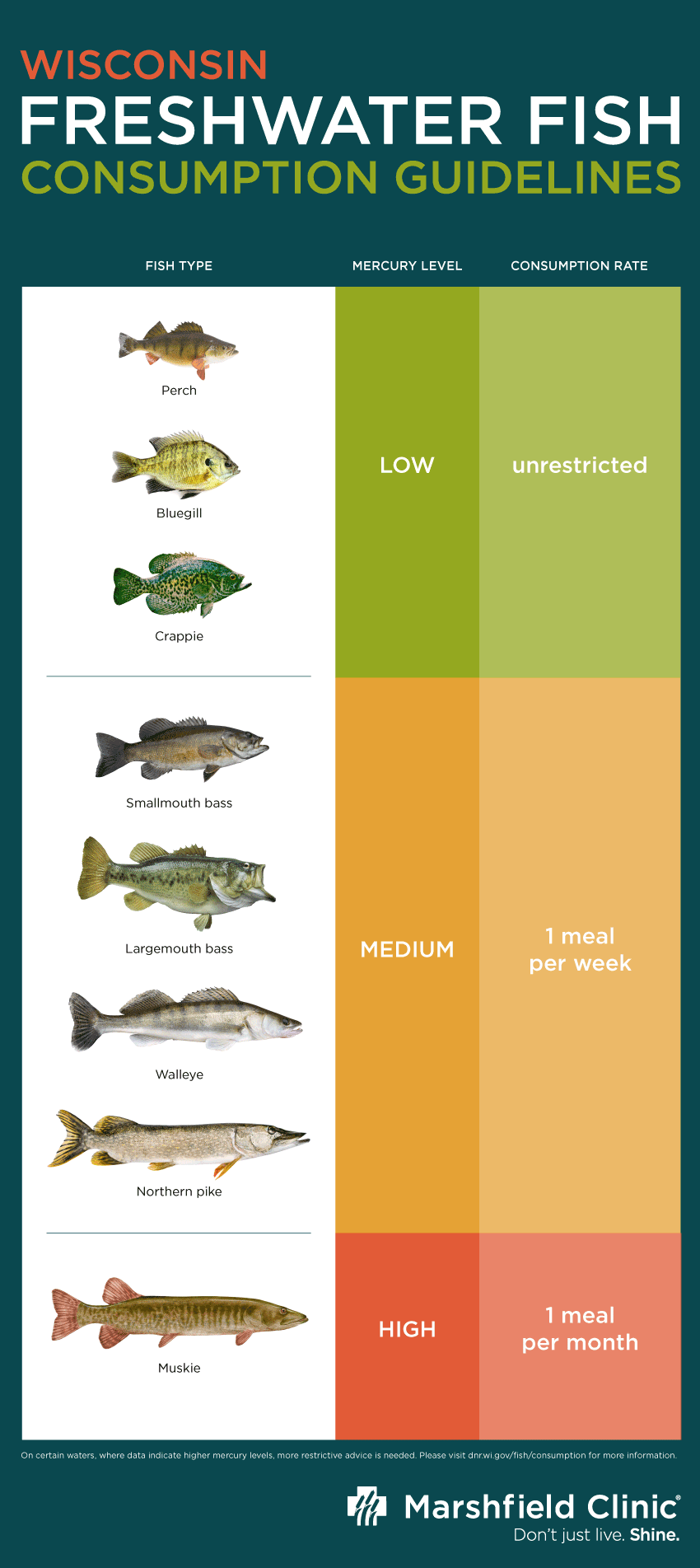 How often can you eat fish with mercury?