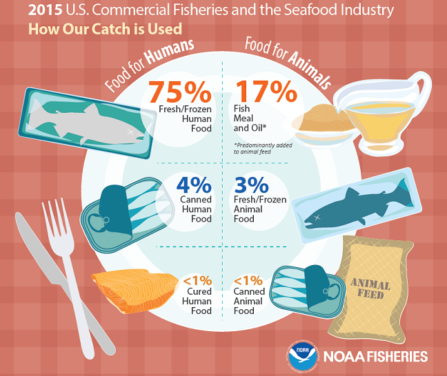 How often do Americans eat seafood?