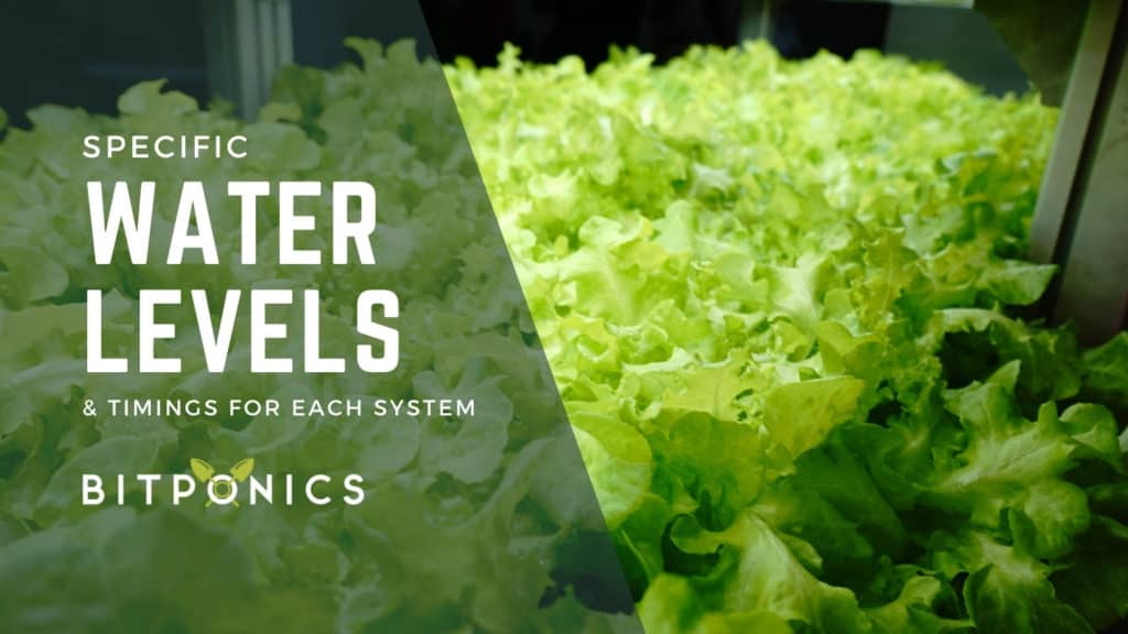 How often should I run my hydroponic pump?