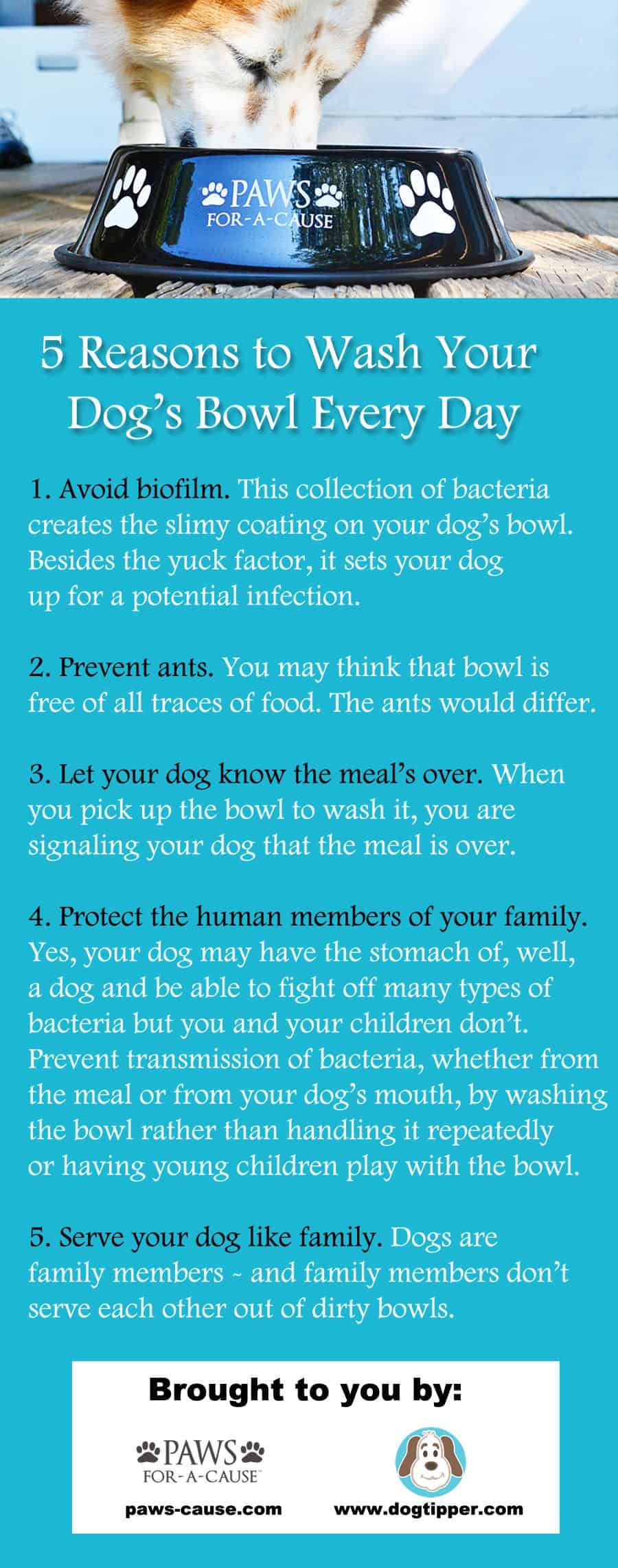 How often should I wash my dogs water bowl?