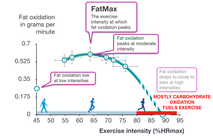 How often should you refuel during a half marathon?