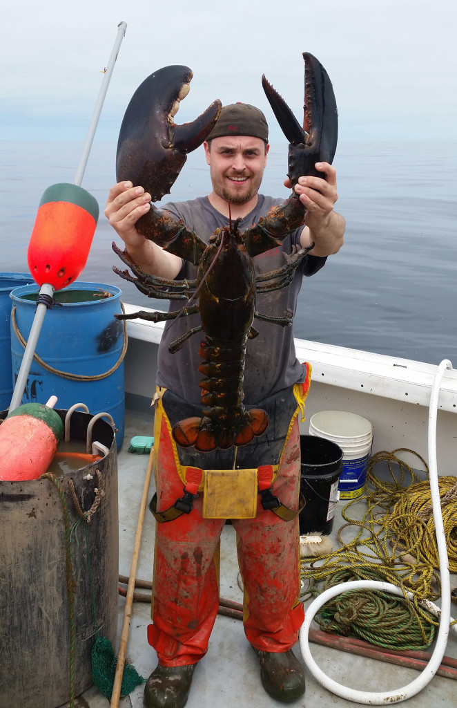 How old is a 10 pound spiny lobster?