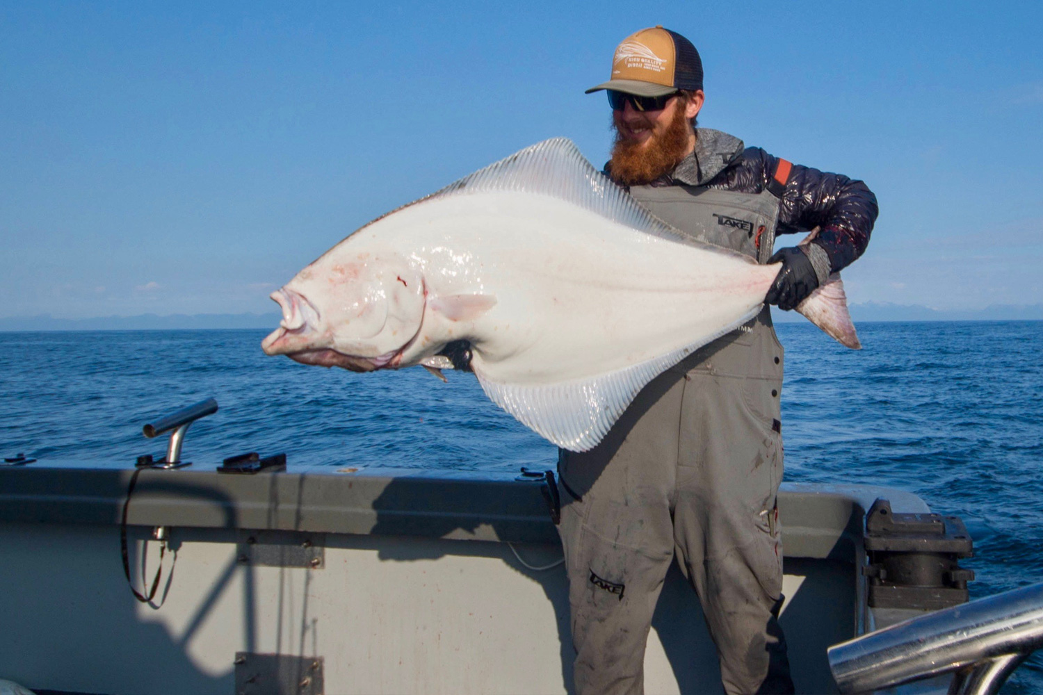 How old is a 100lb halibut?